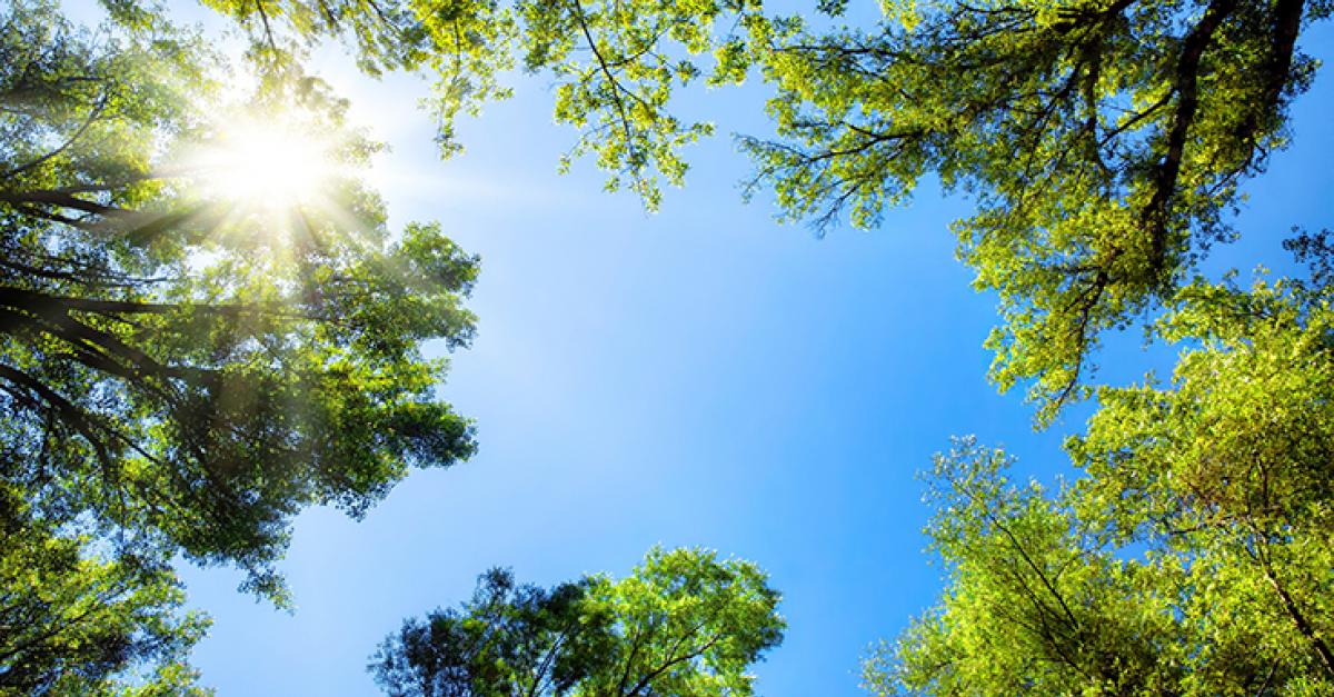 Kreislaufwirtschaft: Die Geschichte hinter Circular Globe | SQS