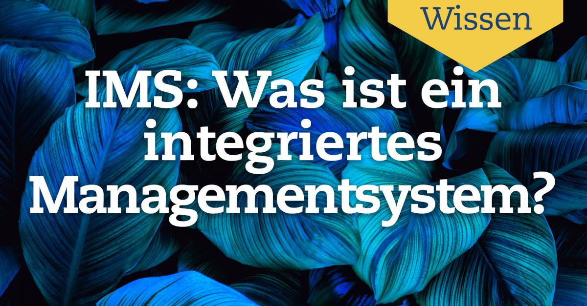 IMS – Was ist ein Integriertes Managementsystem? | SQS