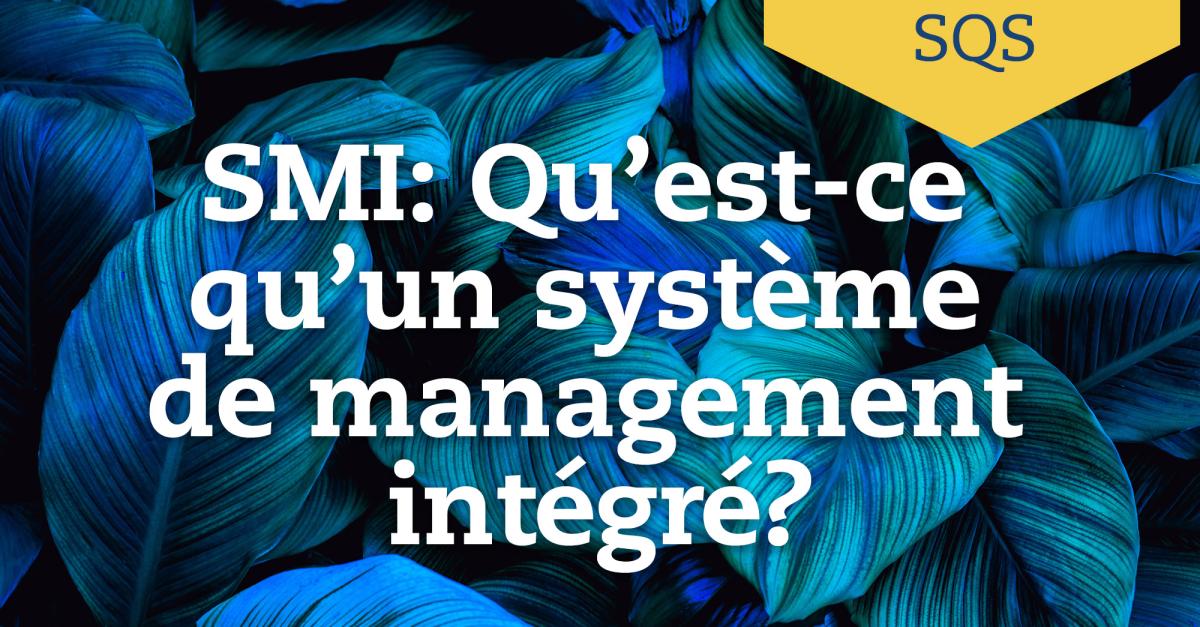 SMI – Qu’est-ce qu’un système de management intégré? | SQS